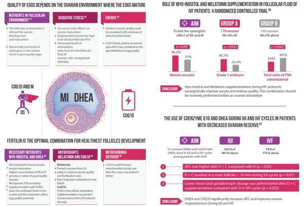Fertilin - MV-Nutraceuticals